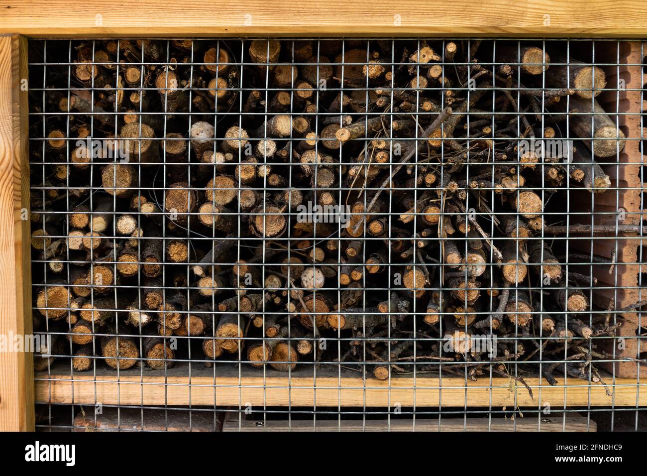 Insect house in the city park. A composition of sticks, ceramics placed ...