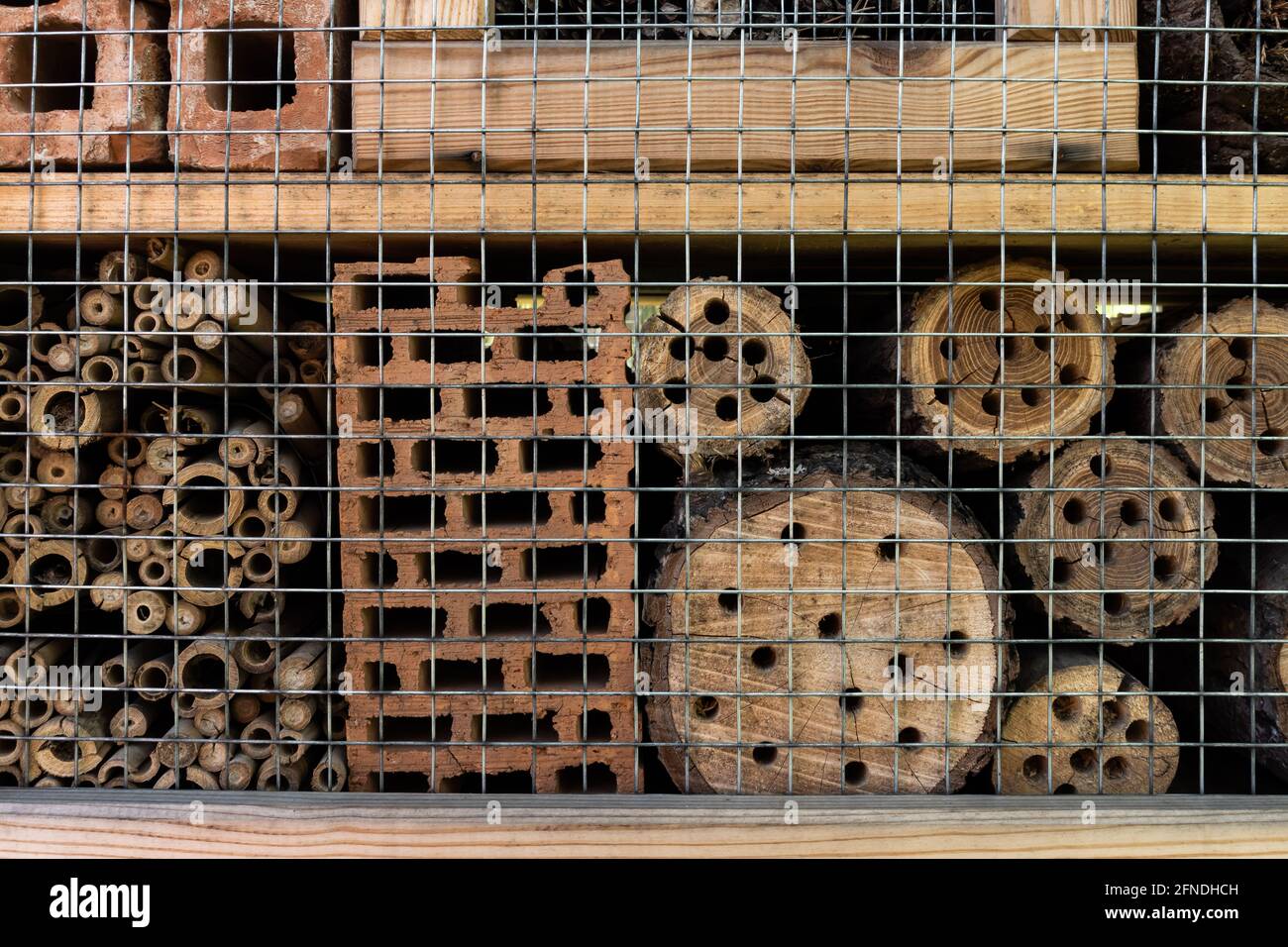 Insect house in the city park. A composition of sticks, ceramics placed ...