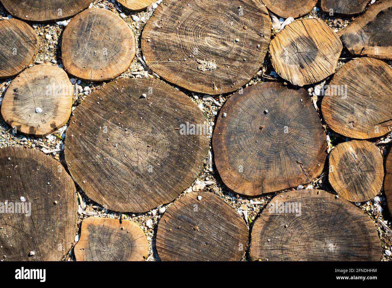 The sidewalk in the park is made of slices of wooden tree branches. The ...