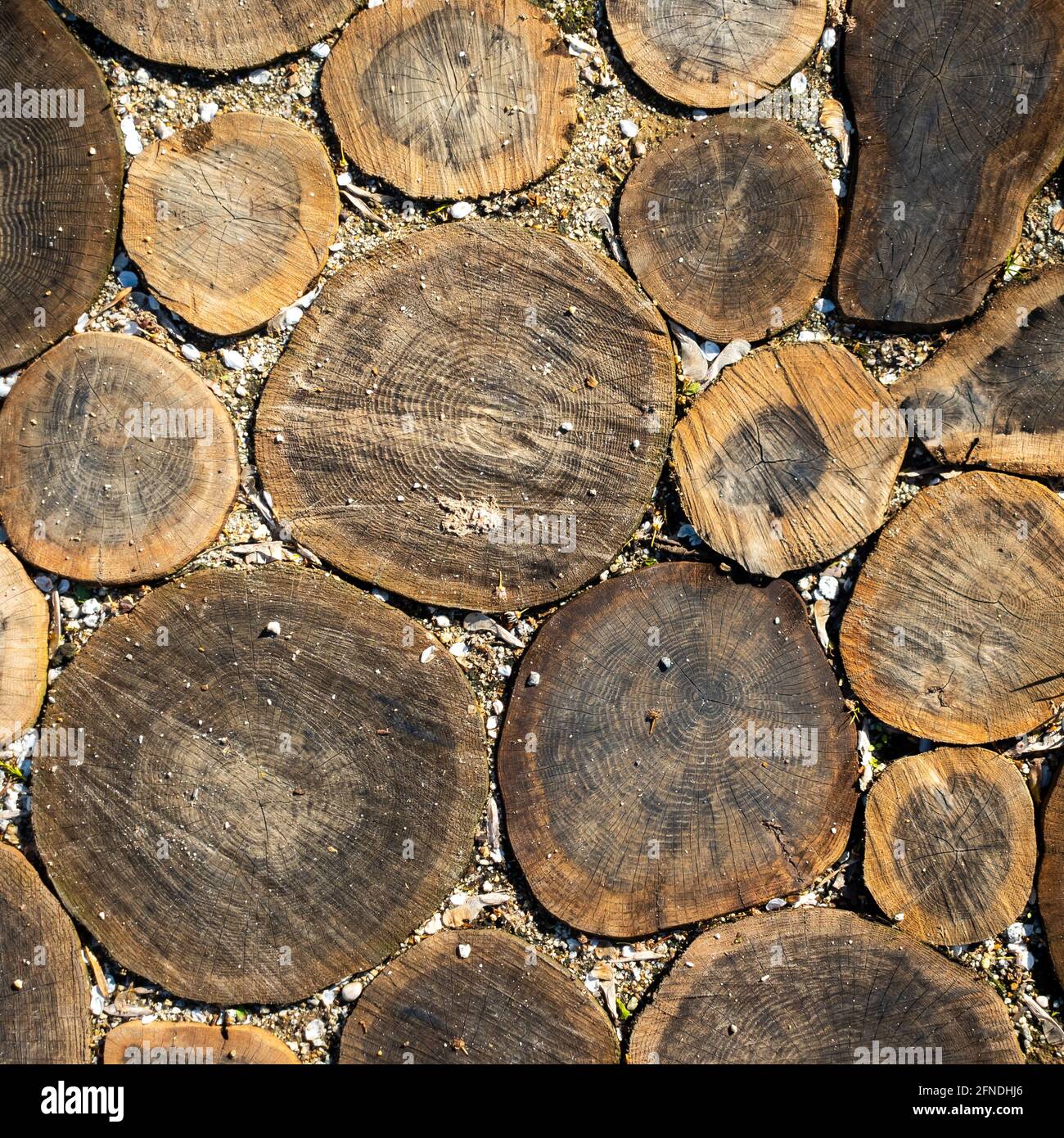 The sidewalk in the park is made of slices of wooden tree branches. The ...