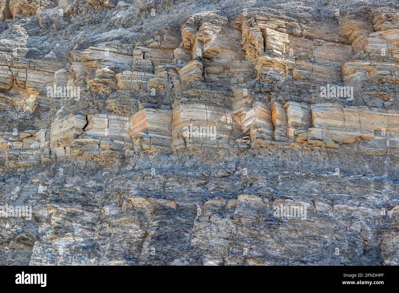 Kimmeride clay cliff, Kimmeridge Bay, Isle of Purbeck, Jurassic Coast ...