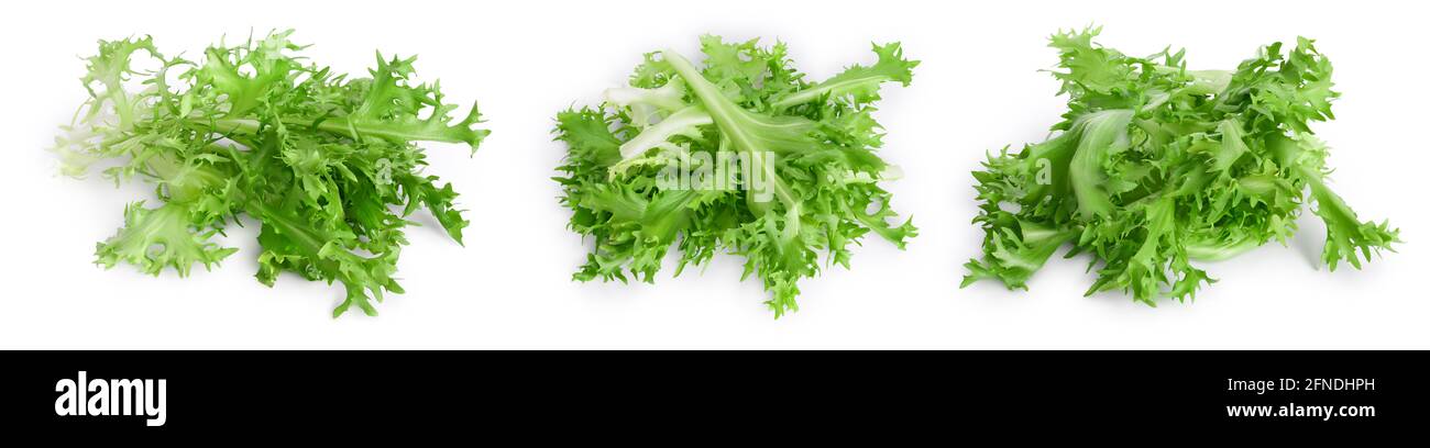 Fresh green leaves of endive frisee chicory salad isolated on white ...
