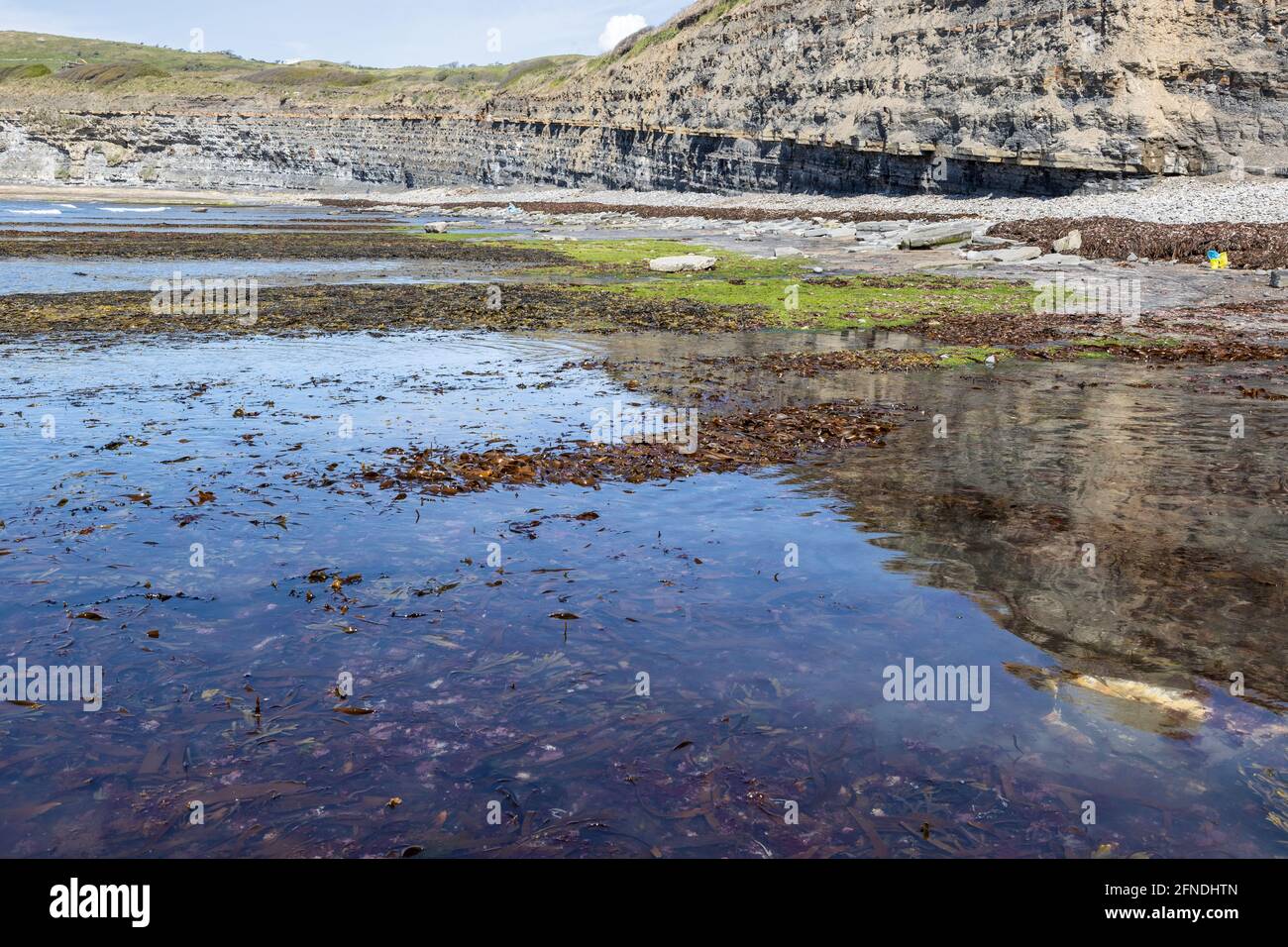Kimmeridge clay hi-res stock photography and images - Alamy