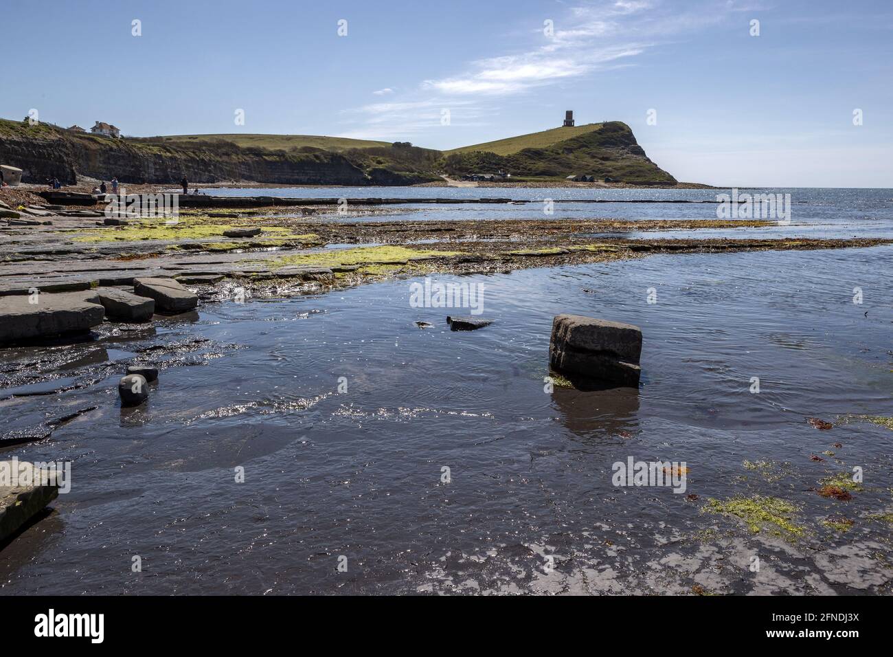 Clavell Tower, aka Clavell Folly Kimmeridge Tower, Low tide of seaweed ...