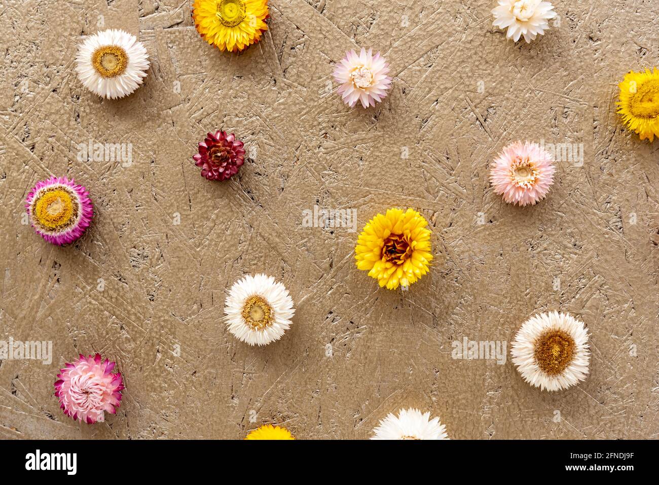 Organic floral background with dry flowers on golden textured Stock ...