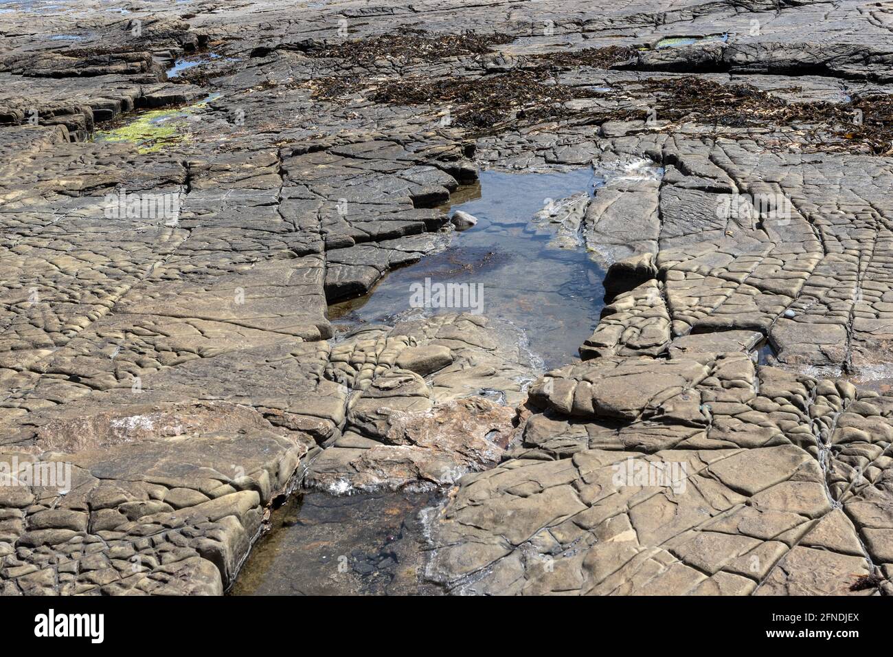 Rock pool, Kimmeridge Ledge, dolomite ledge, wave cut platform ...