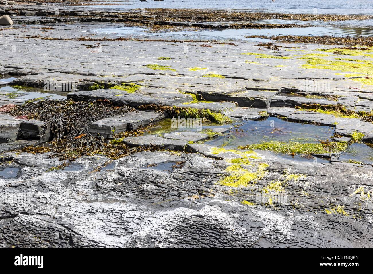 Kimmeridge bay wave cut platform hi-res stock photography and images ...