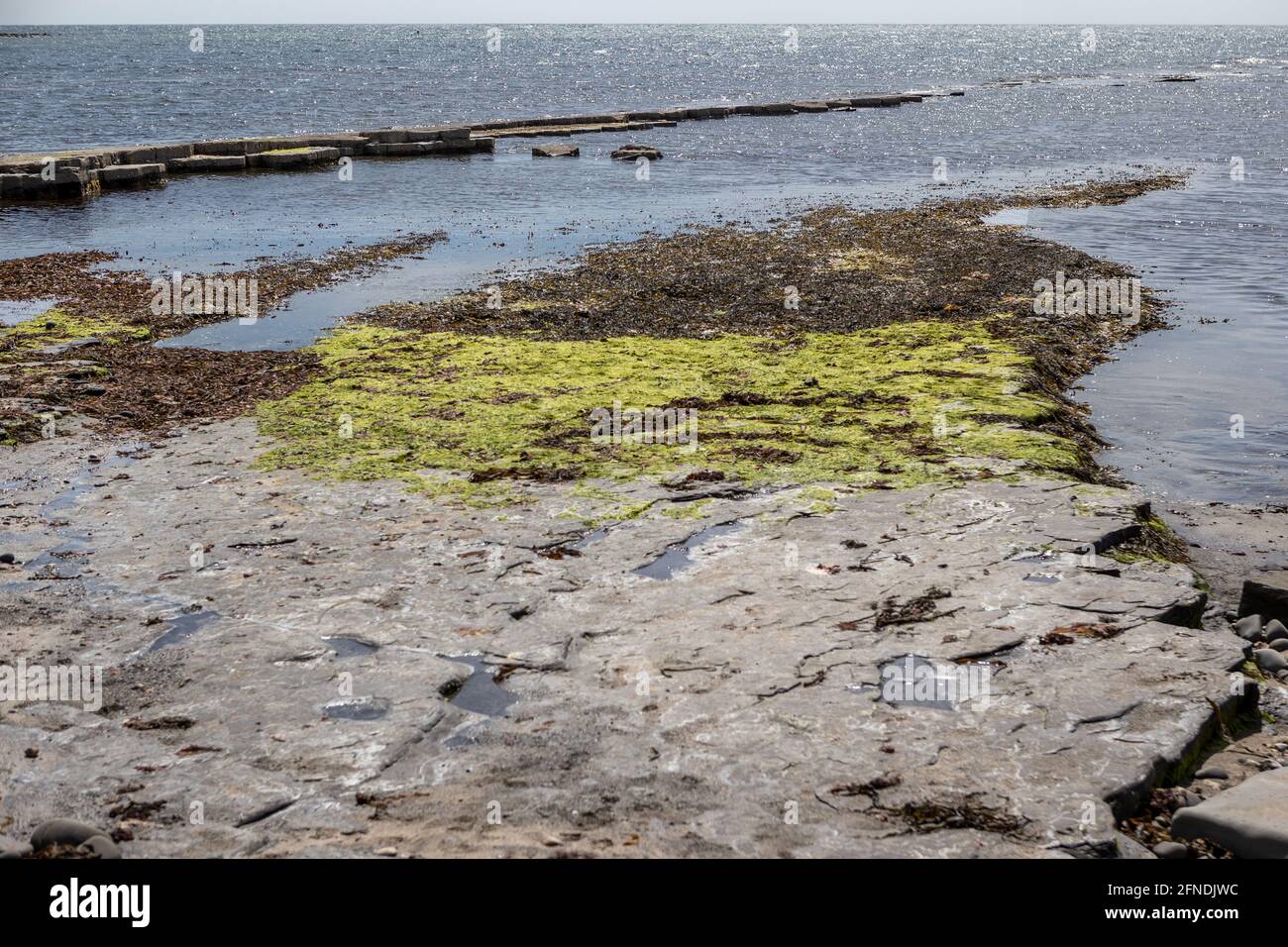 Wave cut platform kimmeridge bay uk hi-res stock photography and images ...