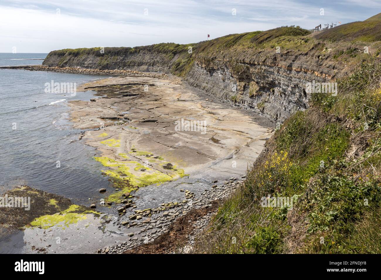 Low tide, Kimmeridge (dolomite) Ledge, Kimmeridge Wellsite, & edge of ...