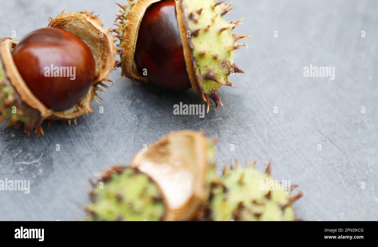 Chestnuts in the shell on a stone plate Stock Photo - Alamy