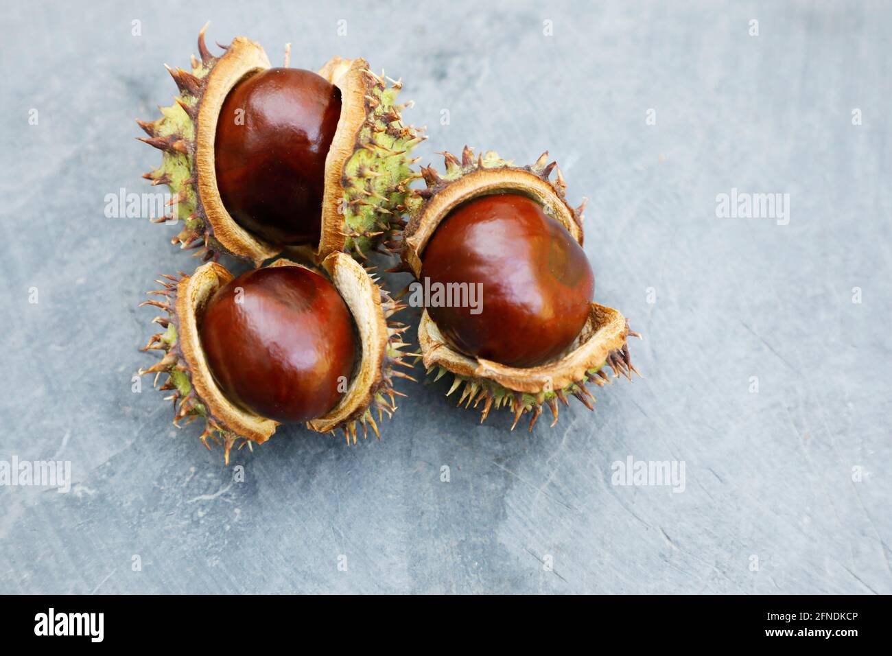 Chestnuts in the shell on a stone plate Stock Photo - Alamy