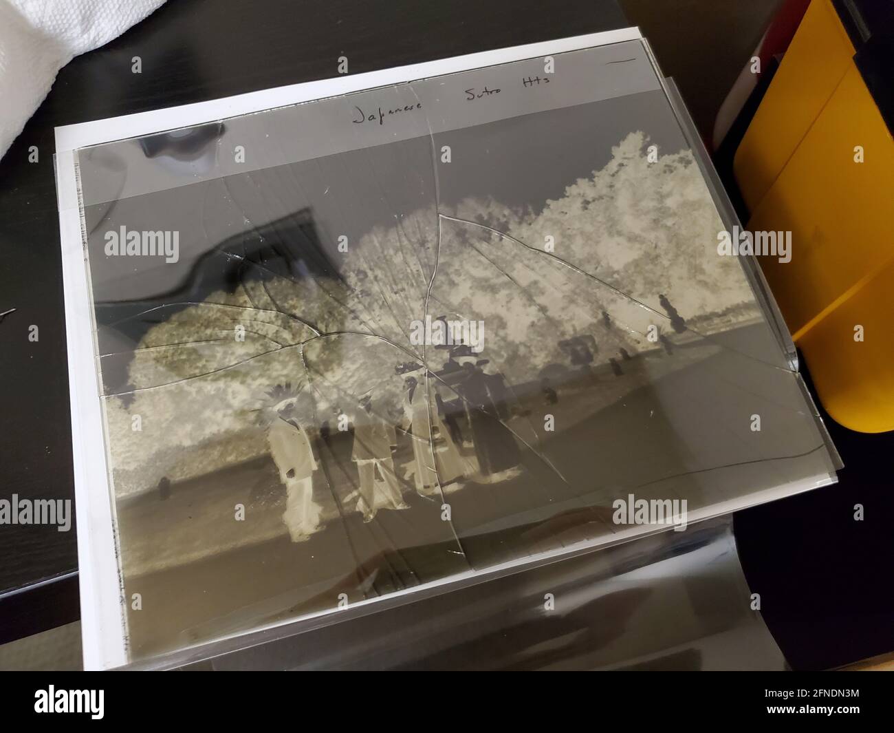 Glass plate negative hi-res stock photography and images - Alamy