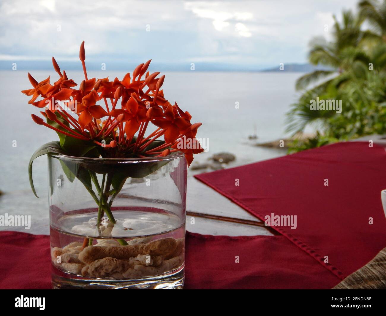 Red exotic flower in a glass with a view of the Pacific ocean at Eagle ...
