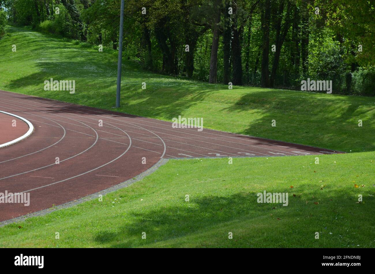 Professional distance runner hi-res stock photography and images - Alamy