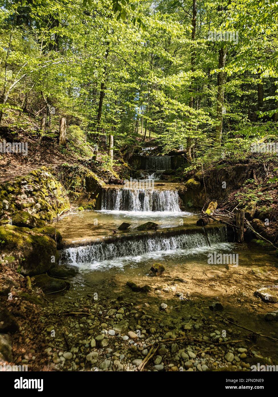 small river flows through the wooded valley above Wlad in zurich ...