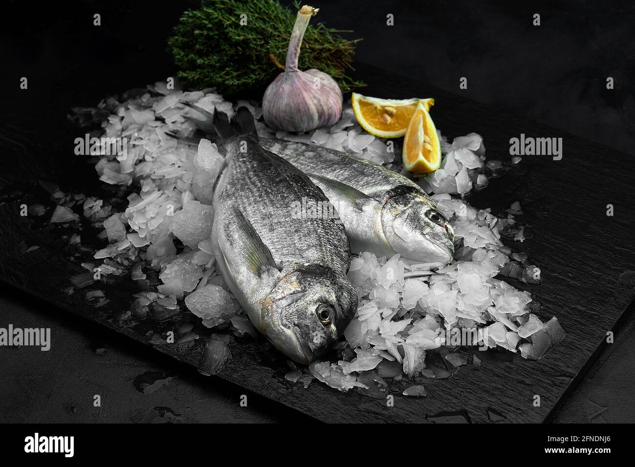 Raw fresh organic dorado or sea bream on ice cubes over black slate ...