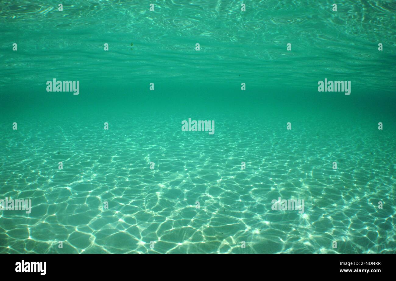 A plain background of a seabed with sunlight shining on the bottom ...