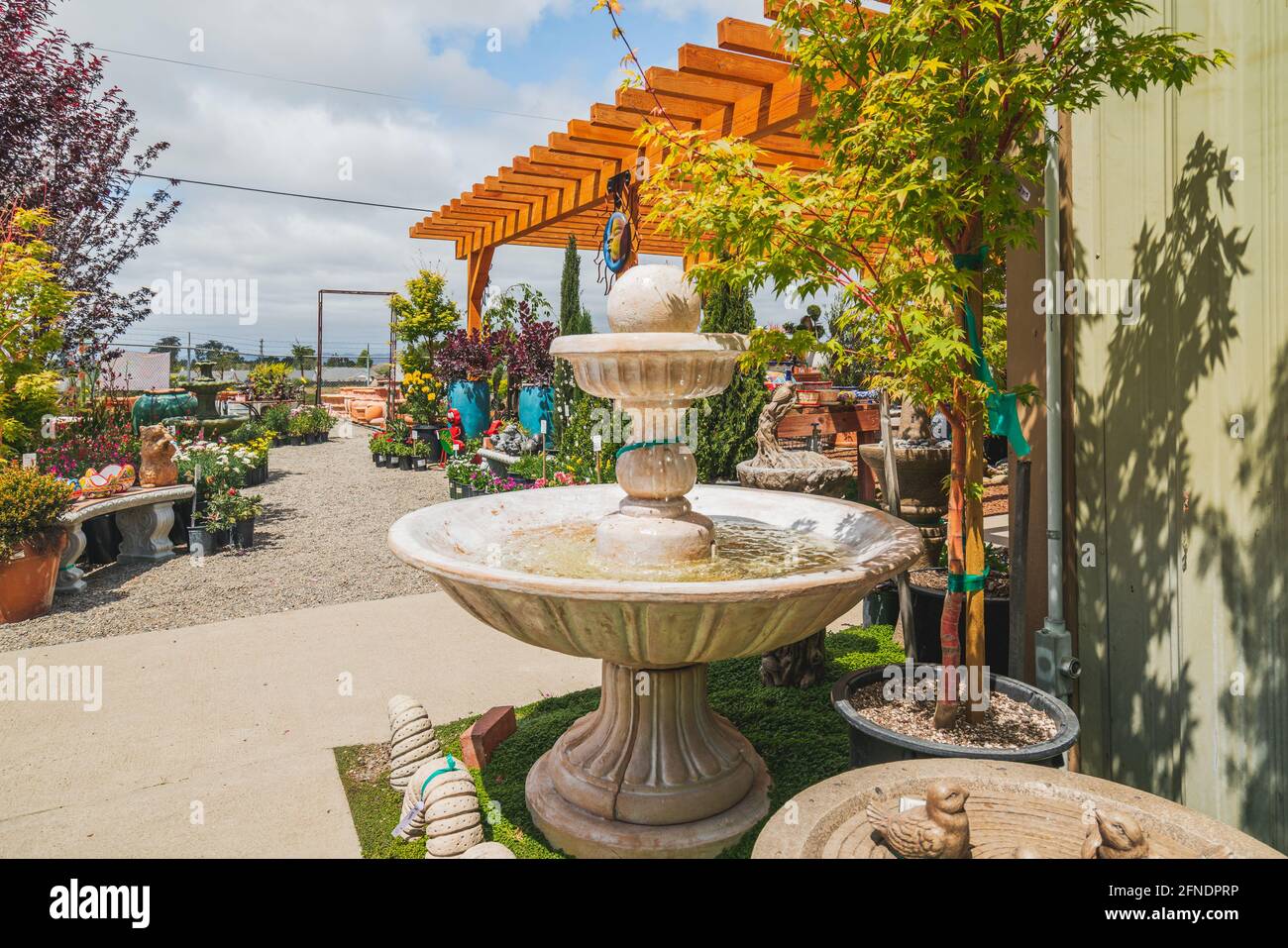 Orcutt, Santa Barbara County, California, May 15, 2021. Different types ...