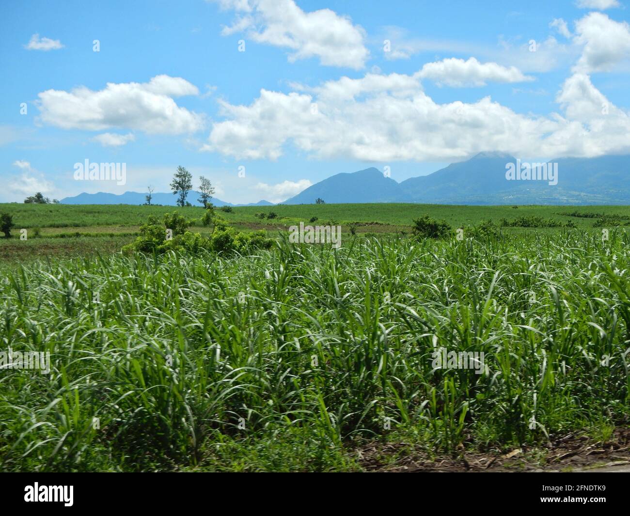 Mambukal Hot Spring Resort, Murcia, Negros Occidental, Philippines ...