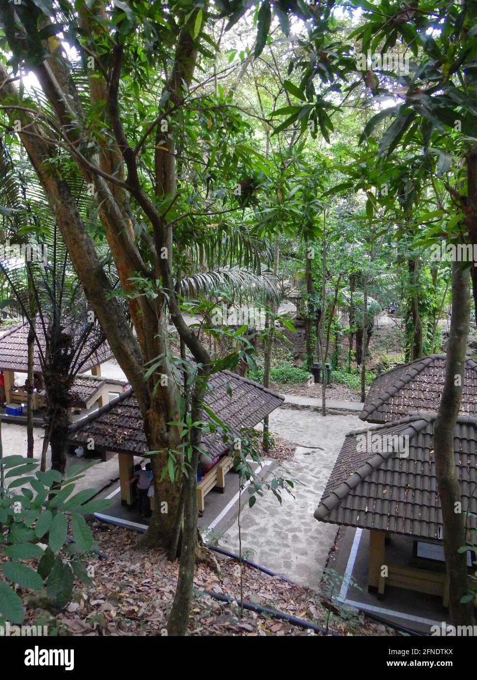 Houses in a resort hotel near Mambukal Hot Spring Resort, Murcia ...