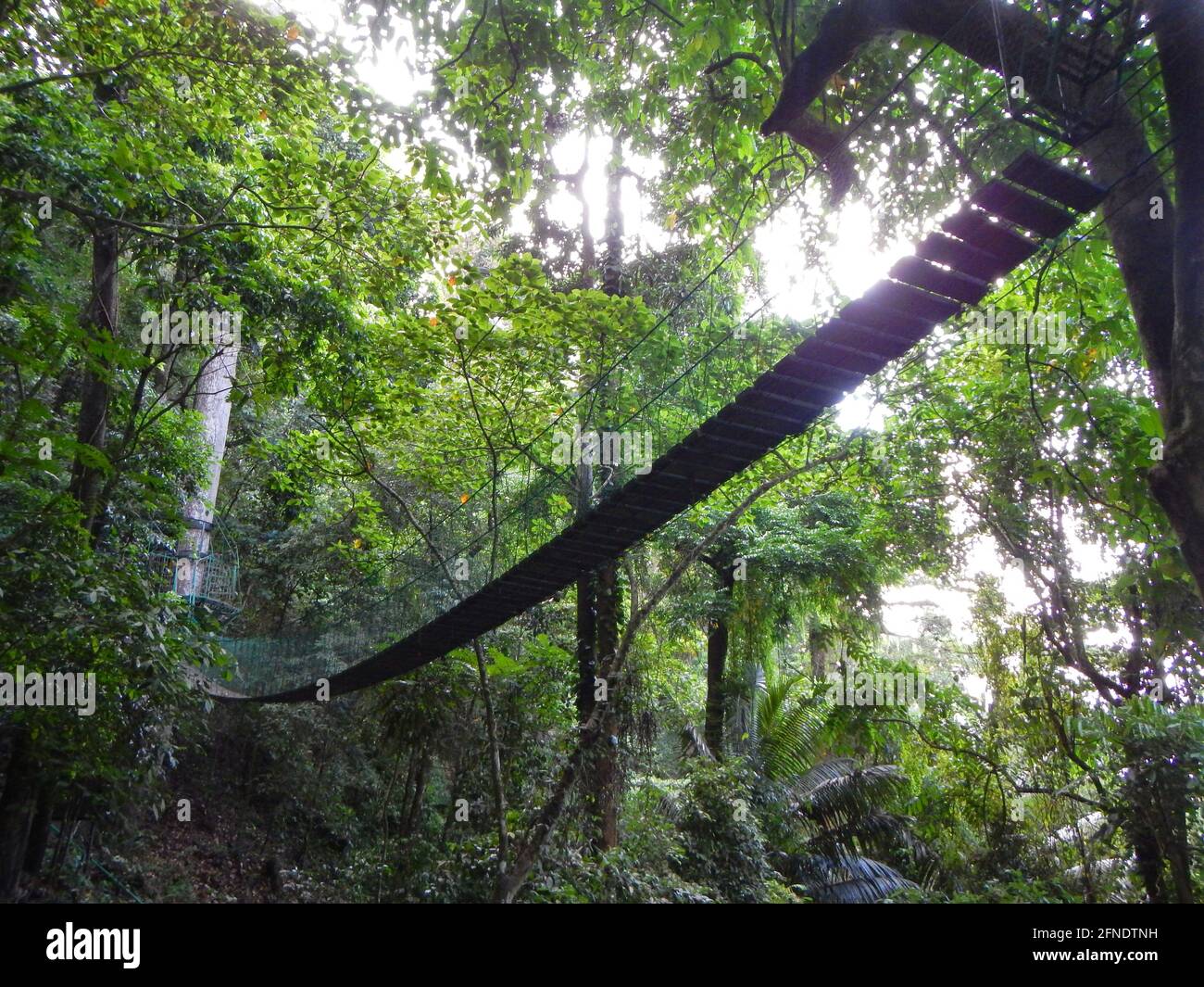 Jungle hot spring hi-res stock photography and images - Alamy
