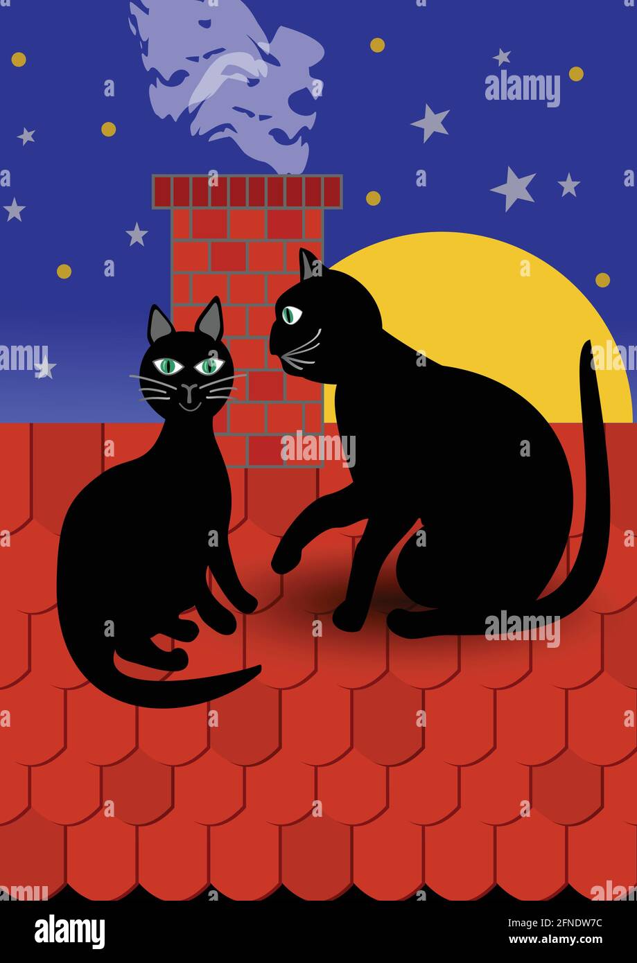 Black cat with tomcat by chimney on red roof, dark evening sky with ...