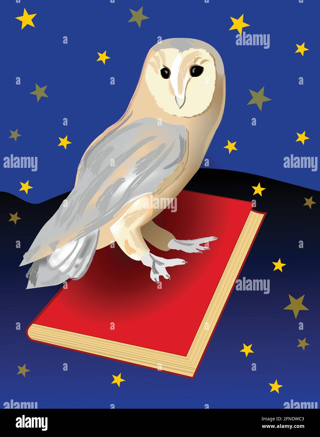 Cute barn owl, symbol of wisdom, sitting on a red book. Night landscape ...