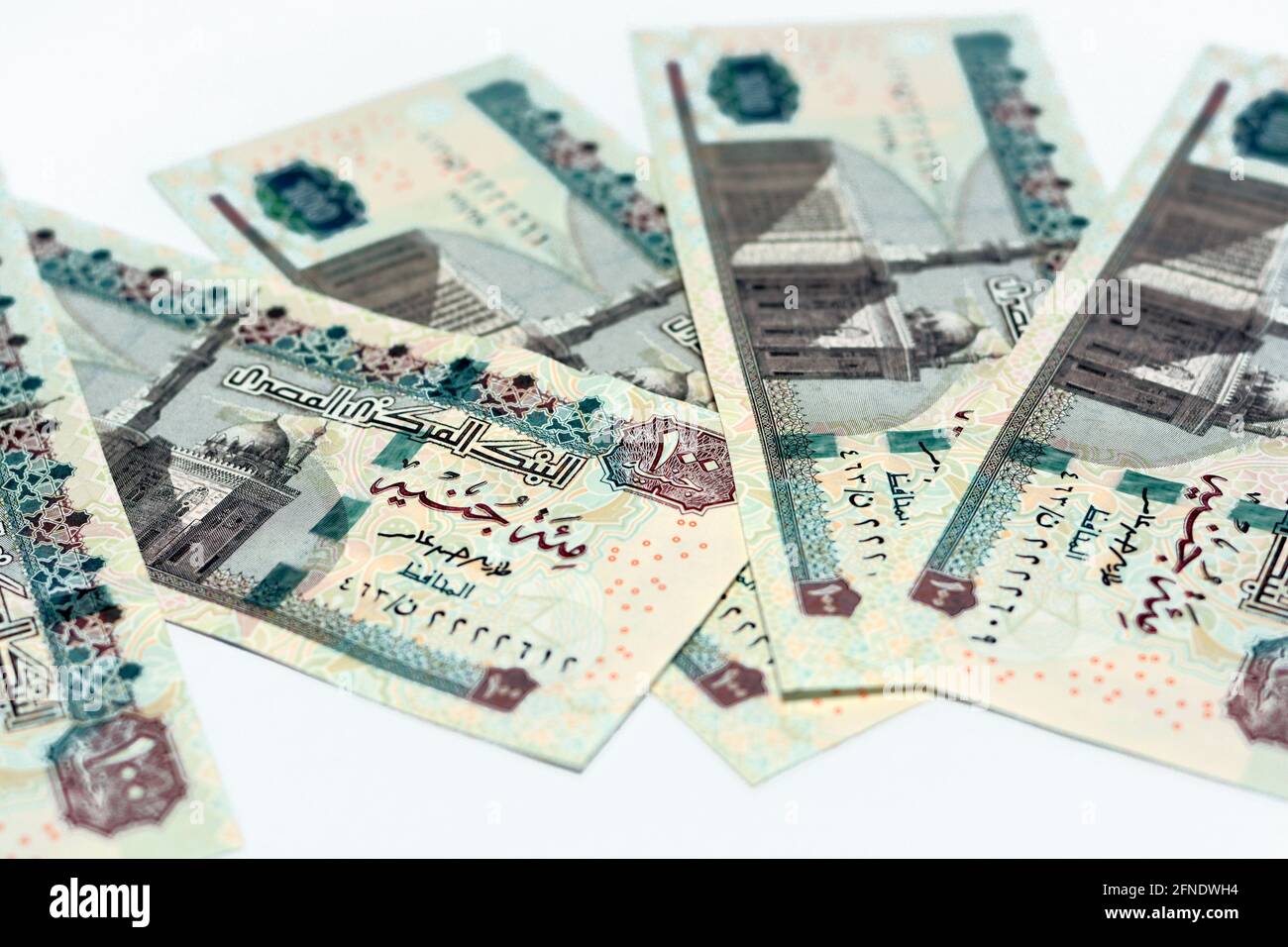 obverse side of 100 LE one hundred Egyptian pounds banknote features ...