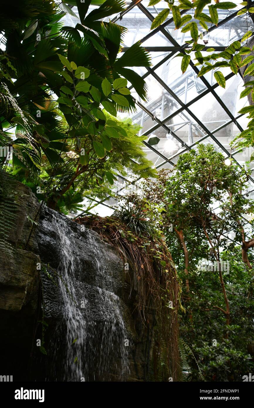 Path in biodome hi-res stock photography and images - Alamy
