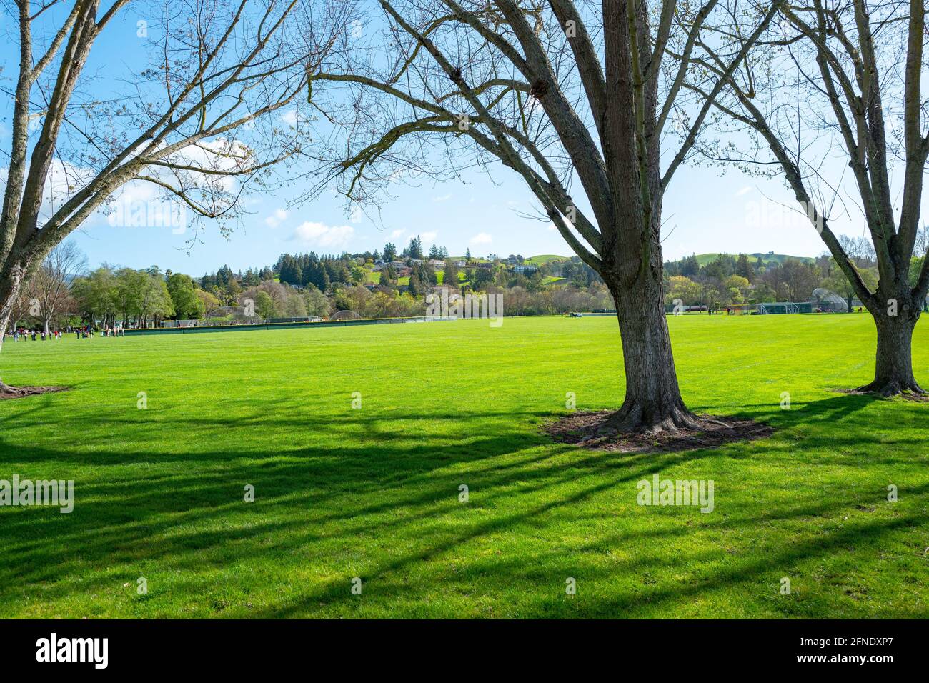 Trees fields visible on hi-res stock photography and images - Alamy