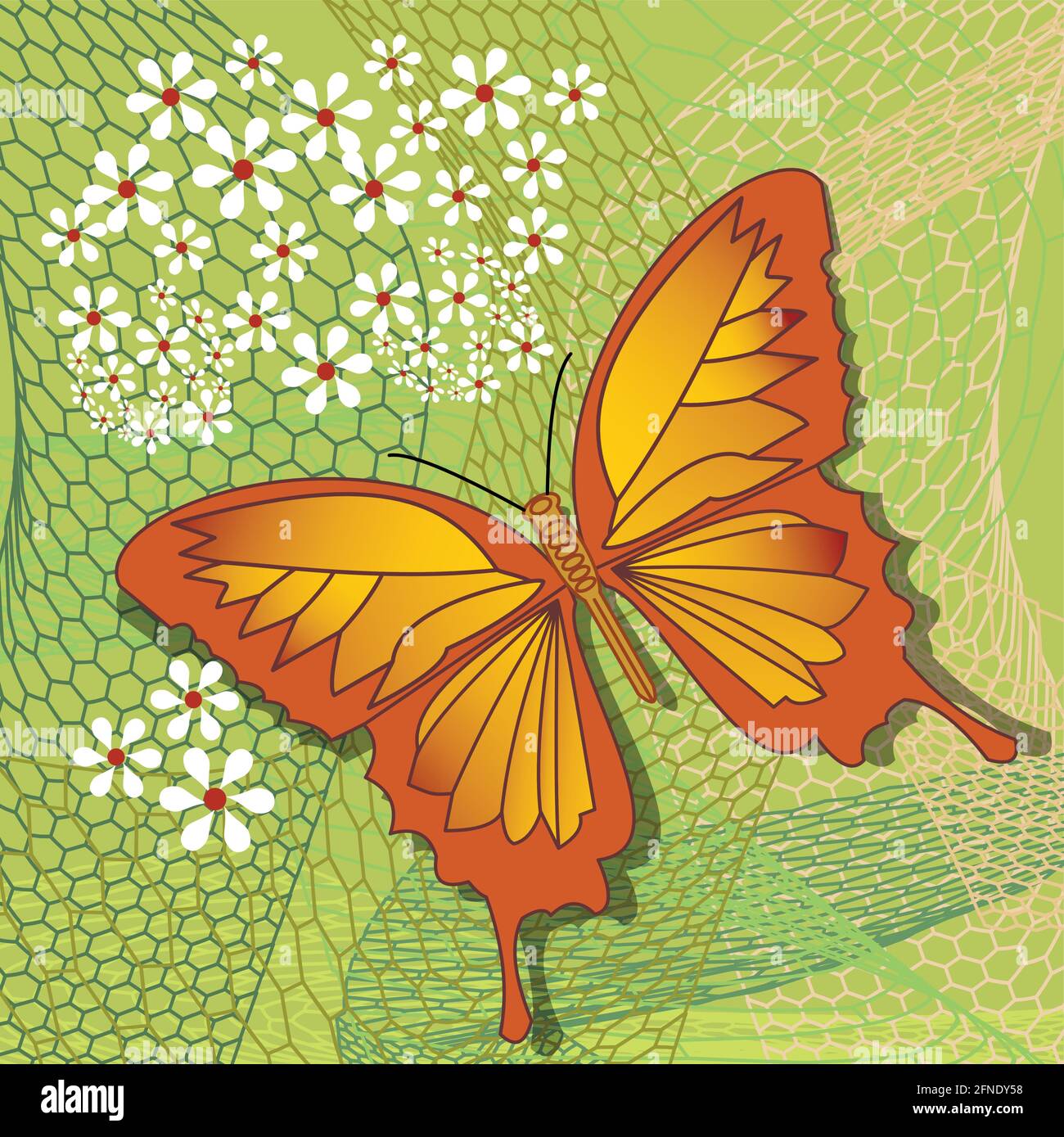 Light Green Butterfly Background