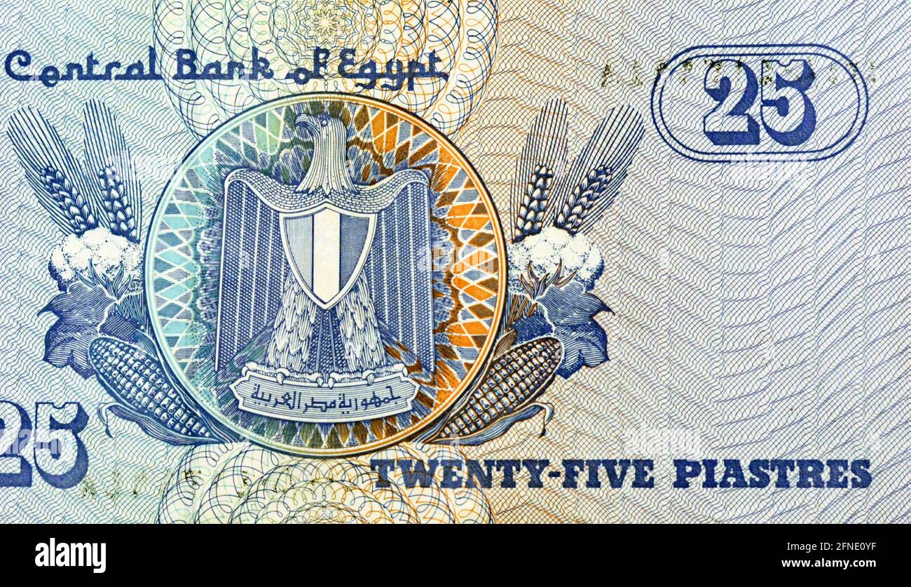 A fragment of the reverse side of 25 Egyptian piasters banknote Issue ...