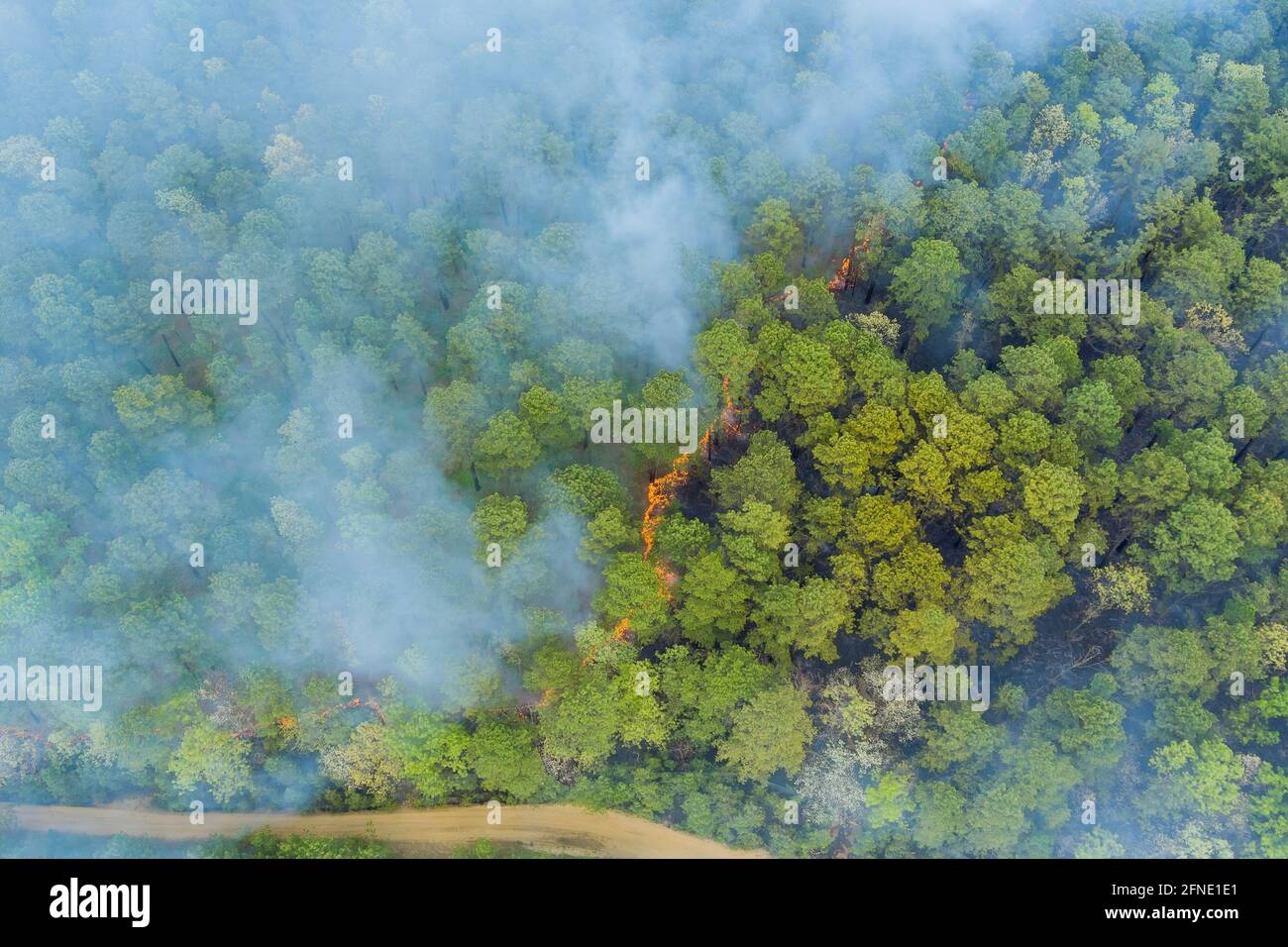 Bonfire smoke pollution hi-res stock photography and images - Alamy