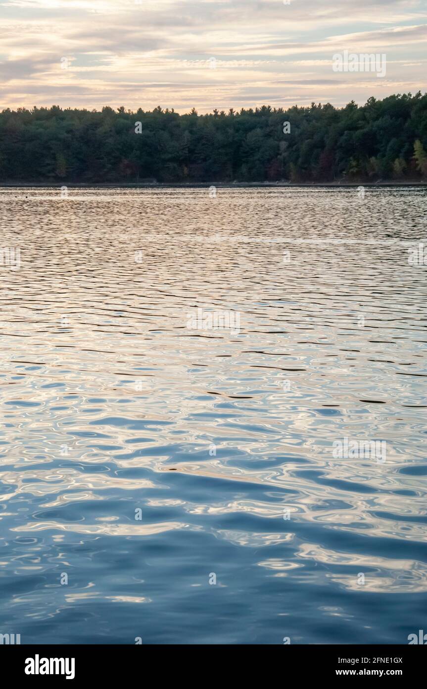 Walden Pond Massachusetts USA Stock Photo - Alamy