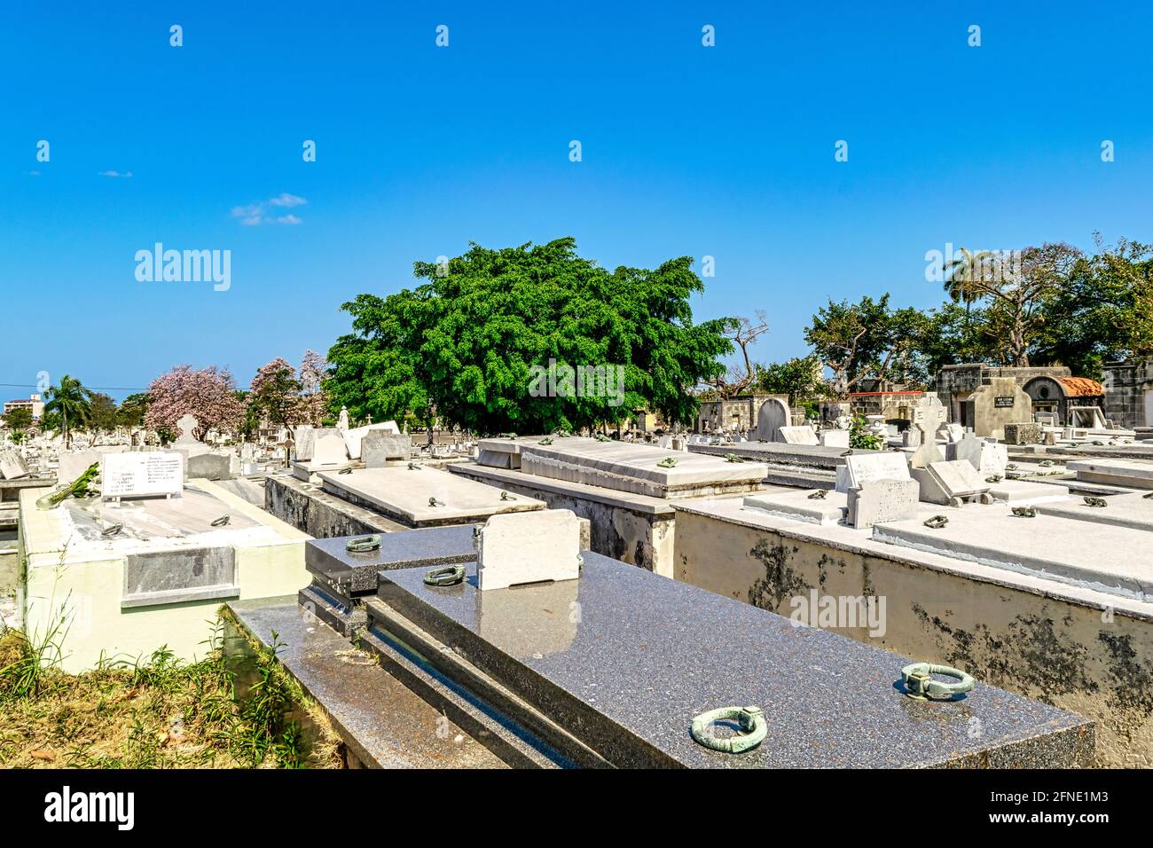 Colon Cemetery in Havana, Cuba Stock Photo - Alamy