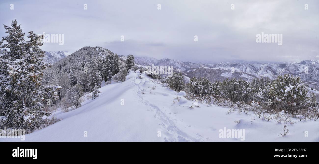 Little Black Mountain Peak hiking trail snow views winter via ...