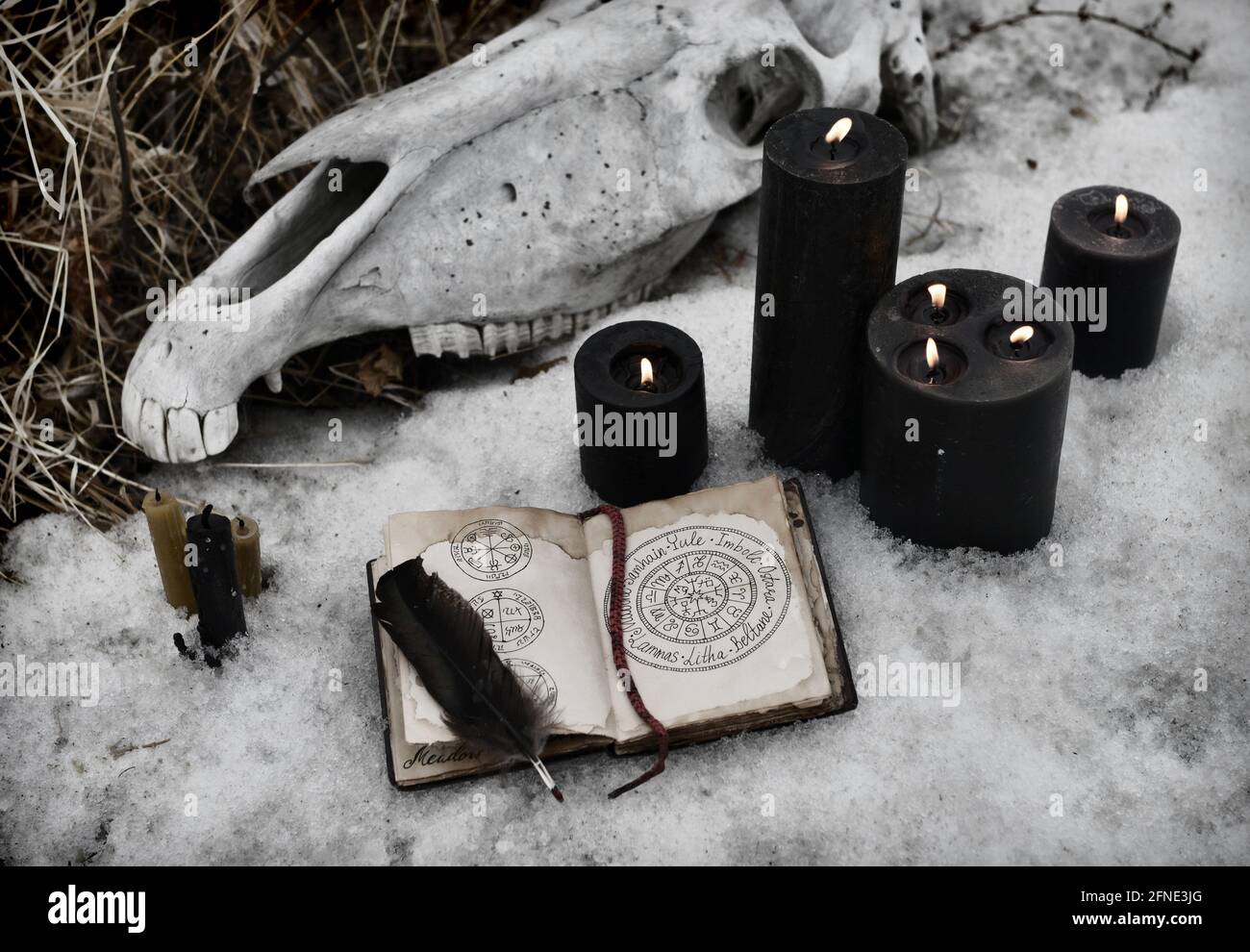 Magic ritual with open manuscript, black candles and horse skull on ...