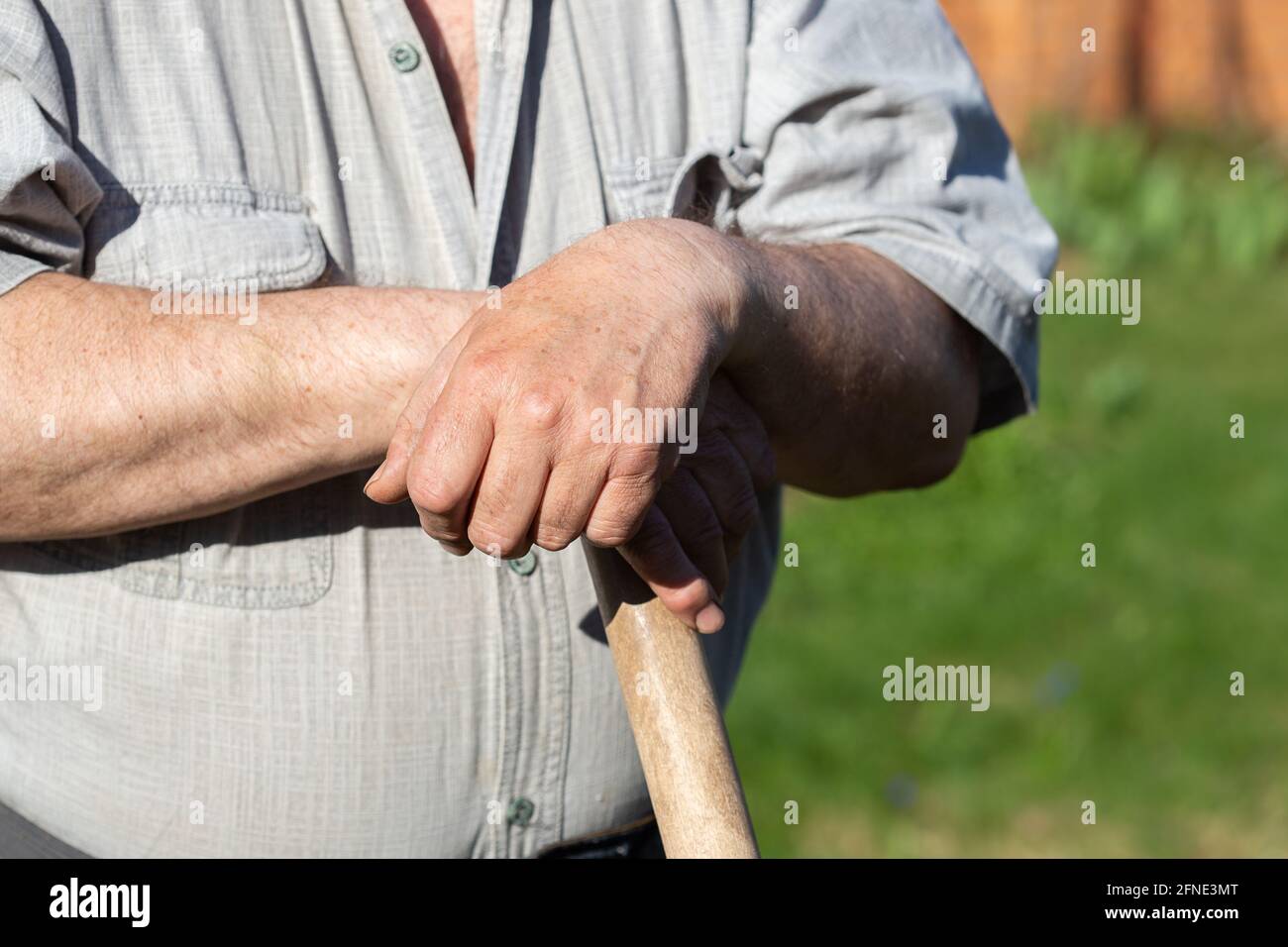 Hands holding a garden tool, farming, gardening, agriculture and people ...