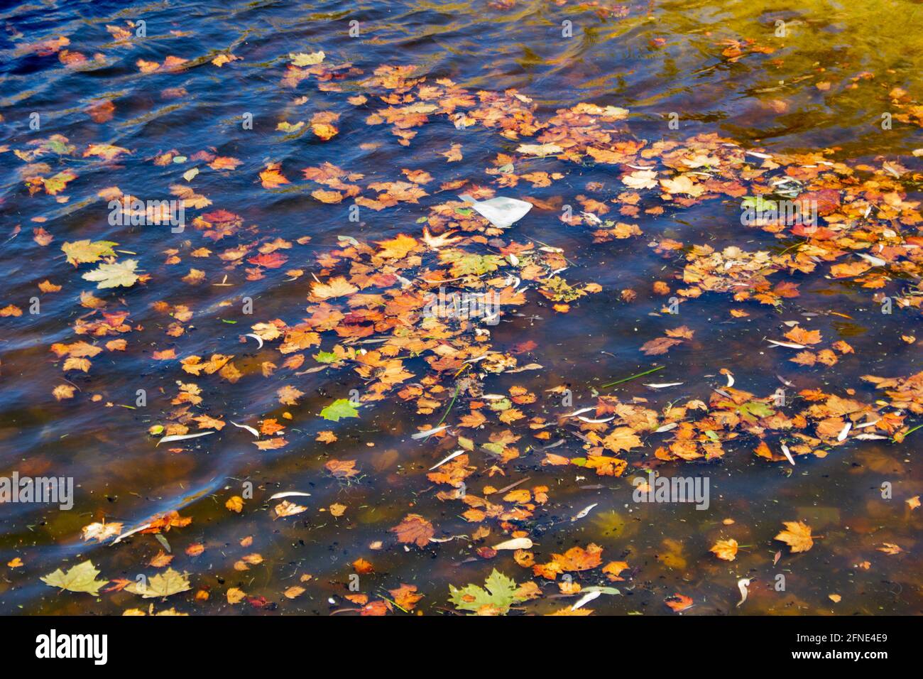 Dead river pollution hi-res stock photography and images - Alamy