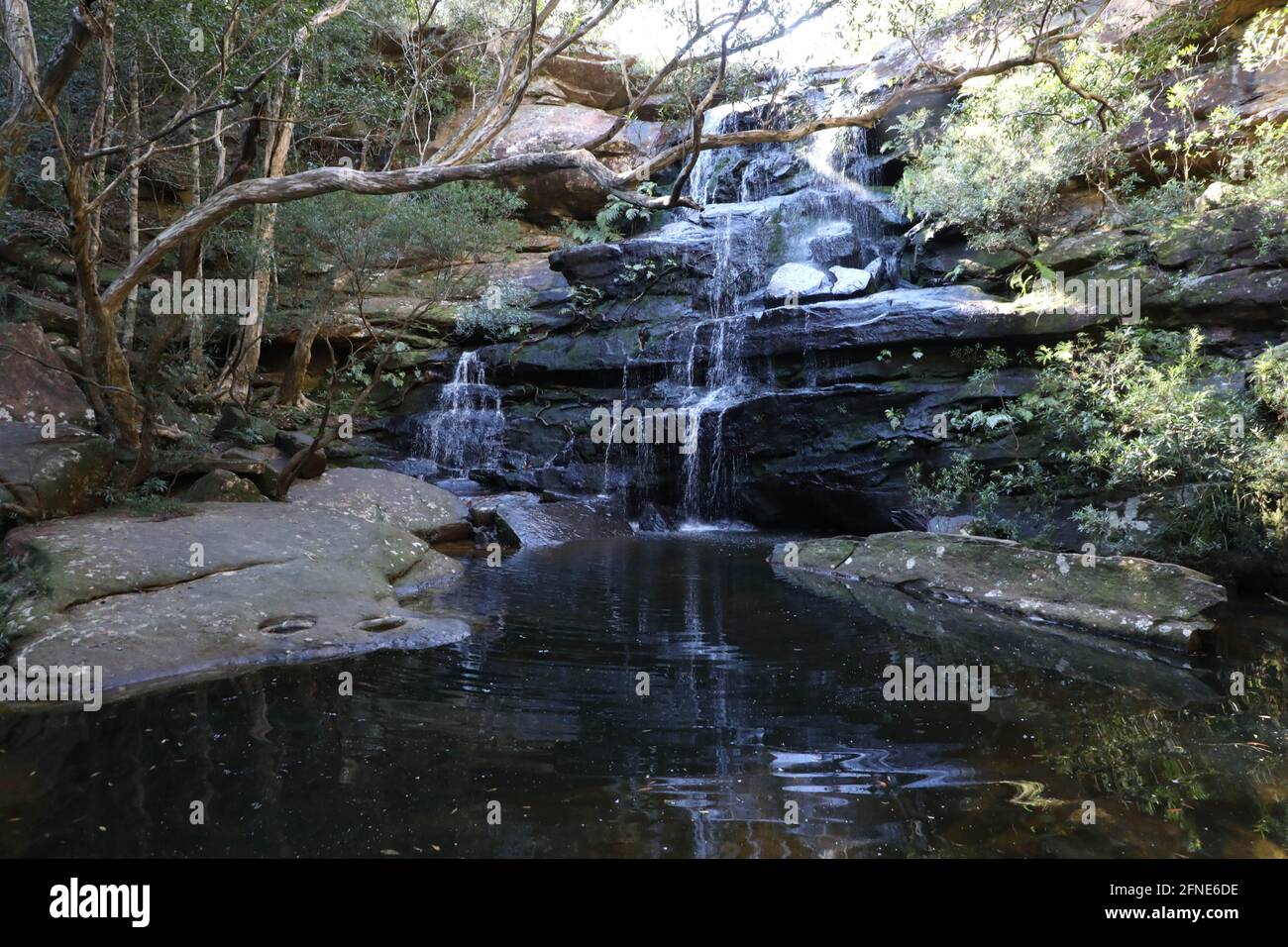 Kariong Brook Falls, Great North Walk, Kariong NSW 2250 Stock Photo - Alamy