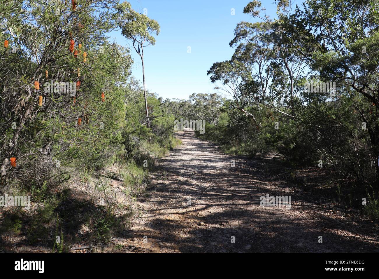 Brisbane Water National Park High Resolution Stock Photography and ...