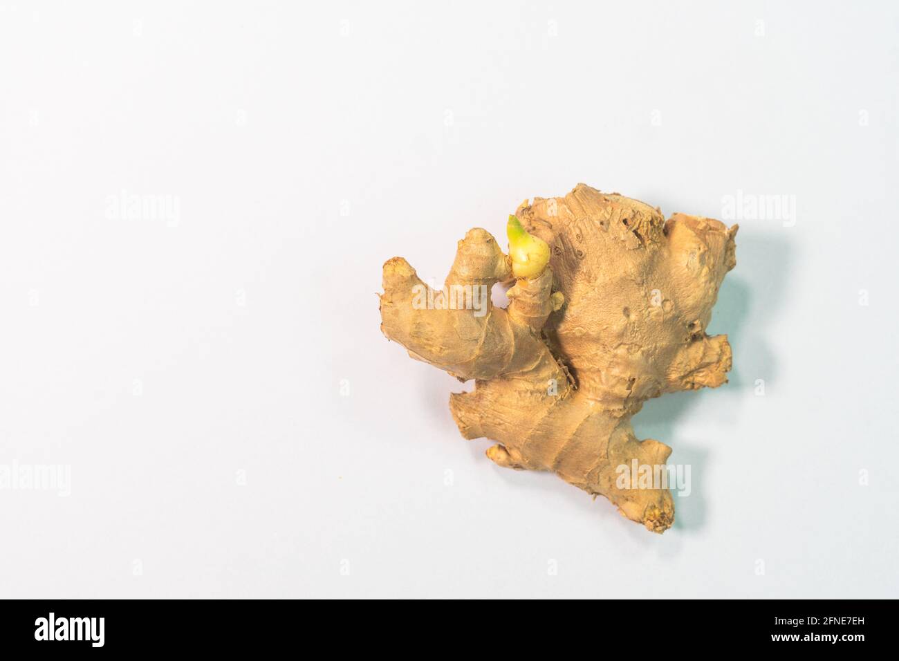 Galangal is a spicy, hot and sweet herb that is commonly used in ...