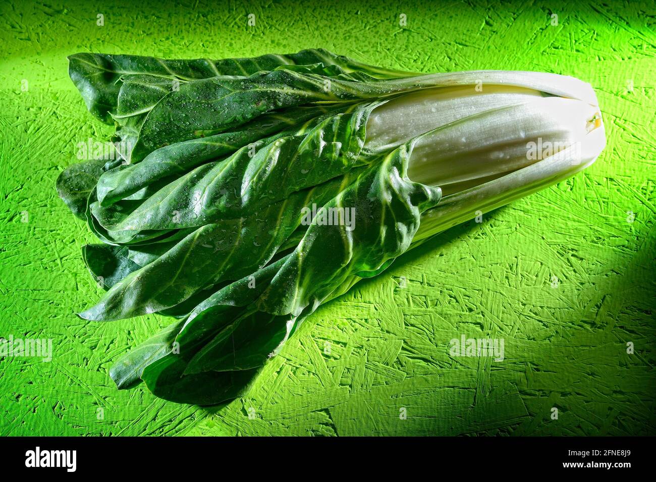 Fresh Pak Choi, Chinese Mustard Cabbage, Paksoi, Green Background Stock ...