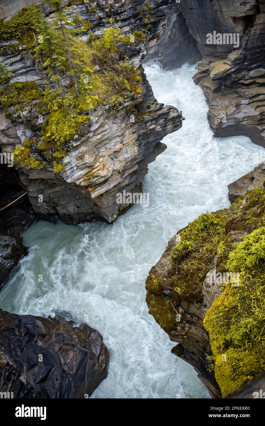 White water flowing through a gorge, Athabasca Gorge, Athabasca River ...