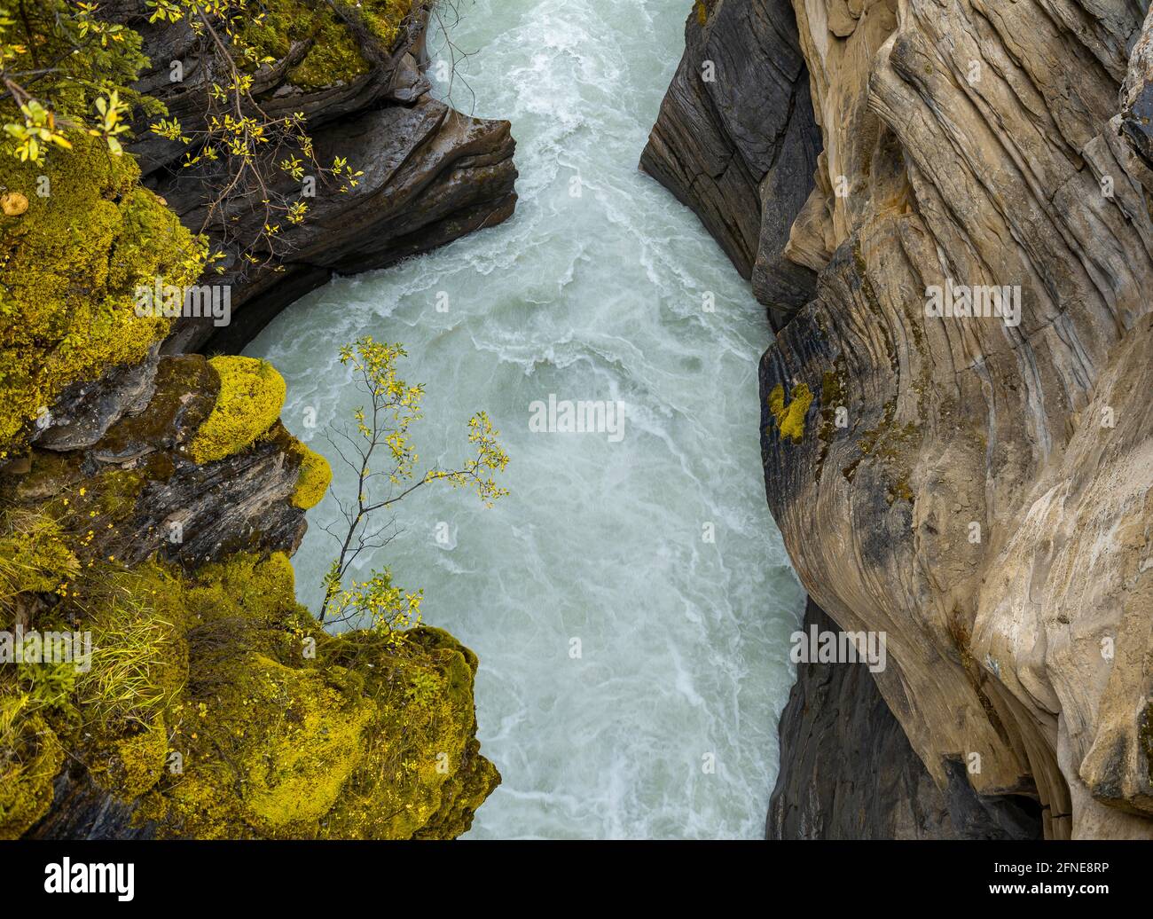 Natural white water hi-res stock photography and images - Alamy