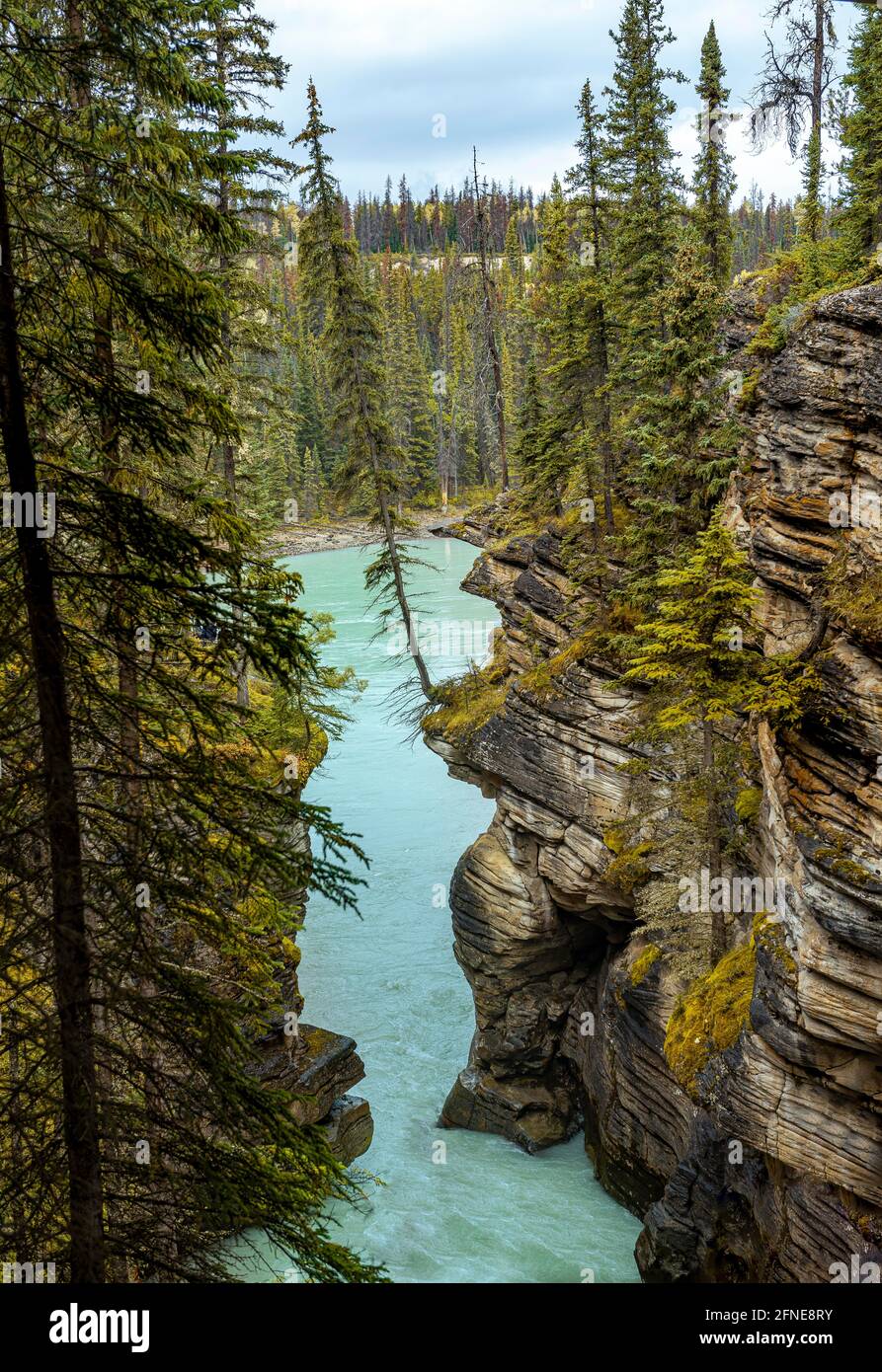 White water flowing through a gorge, Athabasca Gorge, Athabasca River ...