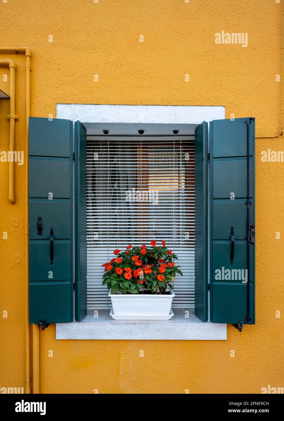Yellow house, window with flowers, colorful house, colorful facade ...