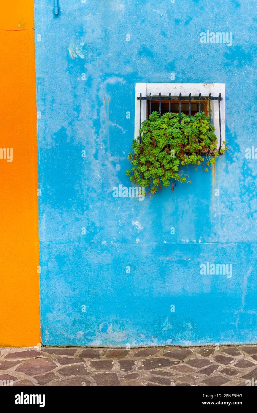 Blue house wall with window, houses, colorful facade, Burano Island ...