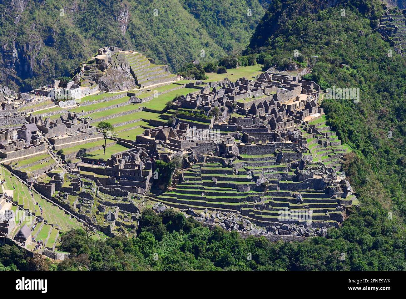 Inca ruined city, Machu Picchu, Urubamba Province, Peru Stock Photo - Alamy