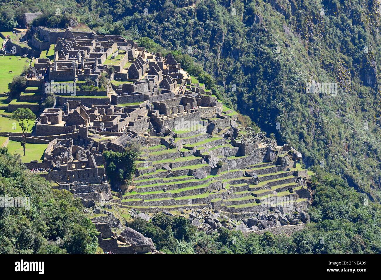 Inca ruined city, Machu Picchu, Urubamba Province, Peru Stock Photo - Alamy